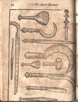 Early Botany Illustrated